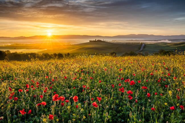 Tuscany Photography Workshop with Guy Edwardes