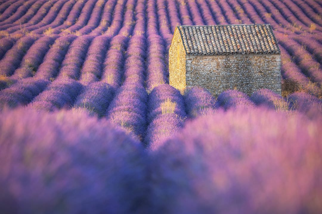 Photography workshops with Guy Edwardes